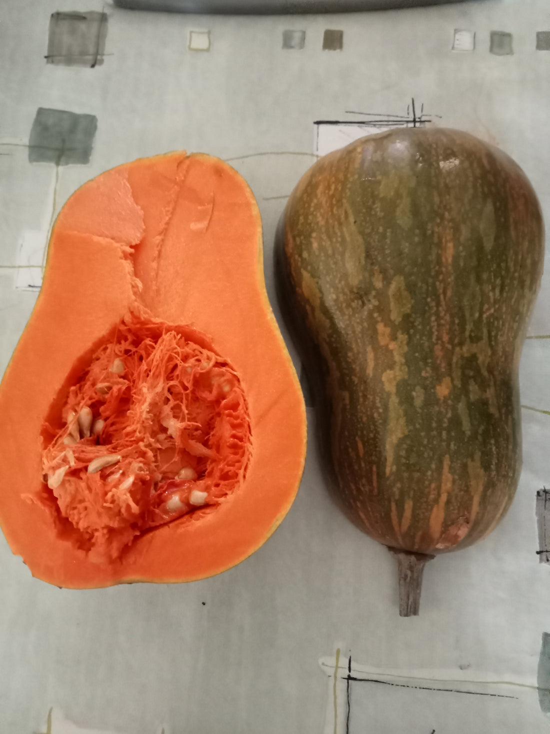 Courge musquée Sucrine du Berry – GRAINES DE FLANDRE