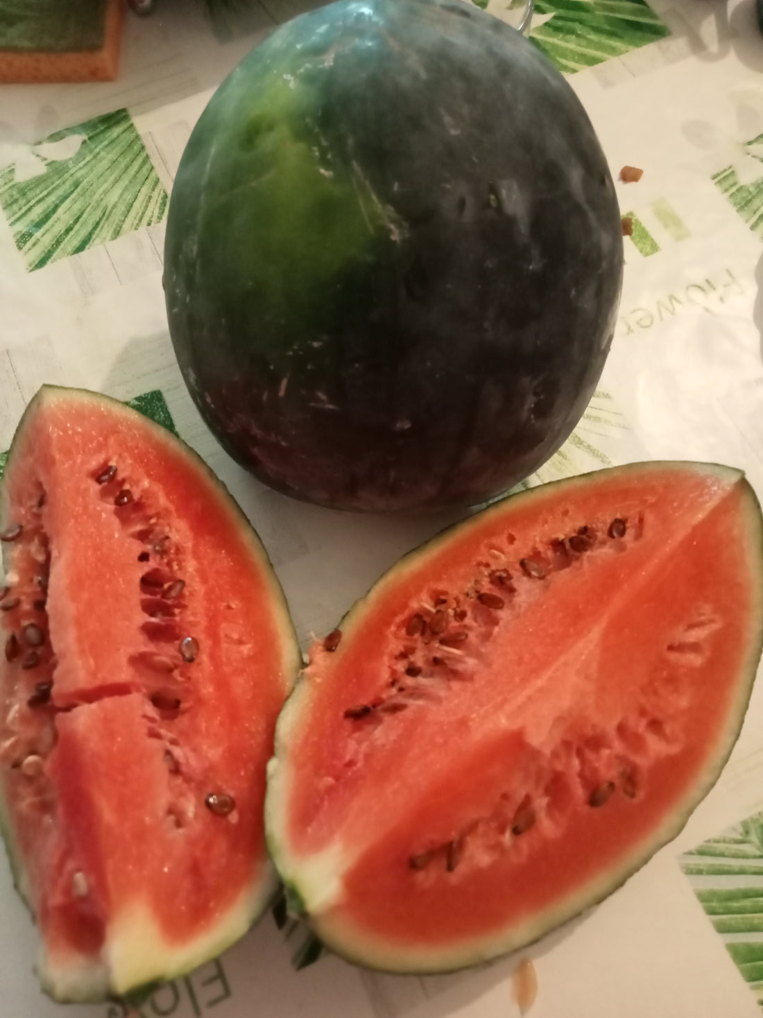 Pastèque Sugar Baby – GRAINES DE FLANDRE